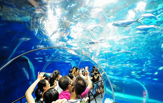 3-Day Shanghai Tour - Shanghai Disney Fantasy | The China Guide