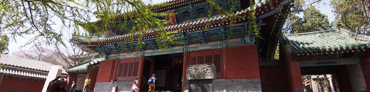 Shaolin Temple - Luoyang Travel Guide | The China Guide