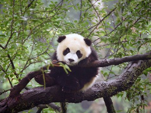 Student and Educational Tours to China | The China Guide